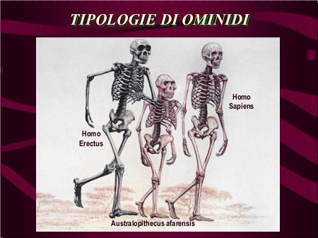 Dal Sapiens arcaico infine disce